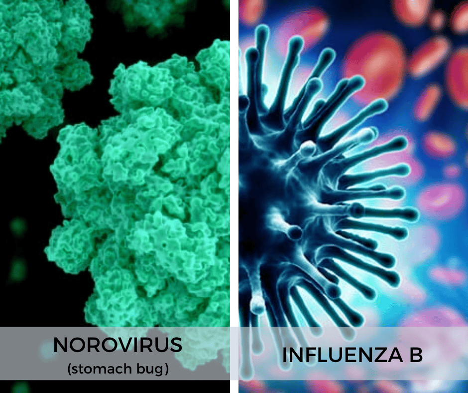 Stomach Bug Or Influenza Smith County Memorial Hospital